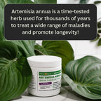 nutritious powder for daily wellness