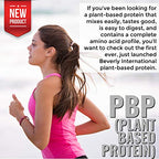 nutritious protein bars with plant protein