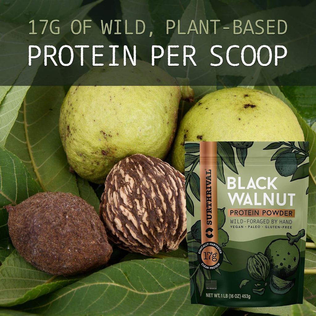 nutritious protein for energy bars
