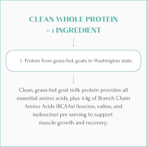 nutritious protein for muscle gain