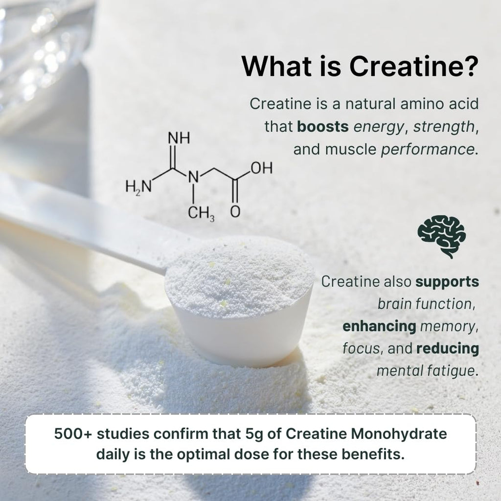 nutritious protein for workouts