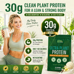 Nutritious protein powder for active lifestyle
