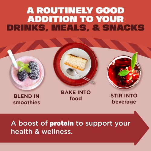 nutritious protein powder for baking