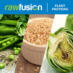 nutritious protein powder for energy boost