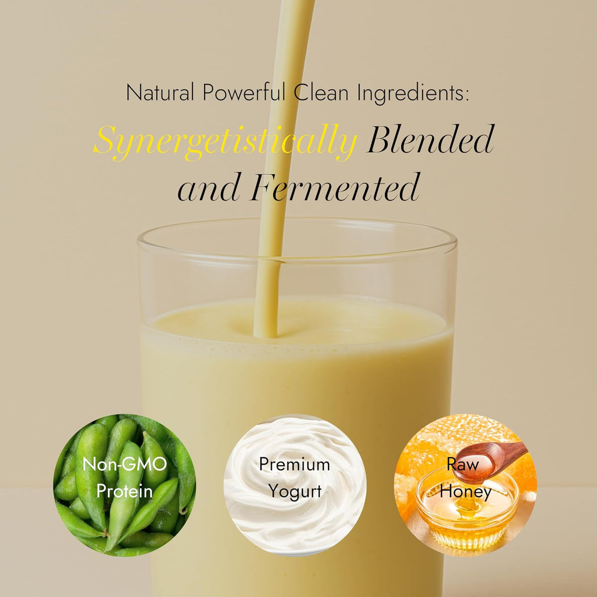 nutritious protein powder for meal replacement