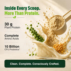 Nutritious protein powder for meal replacement