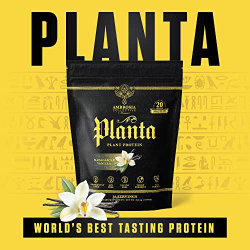 Nutritious protein powder for recovery