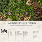 nutritious protein powder for smoothies