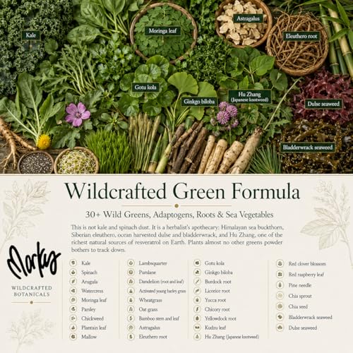nutritious protein powder for smoothies