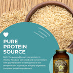 nutritious protein powder for smoothies