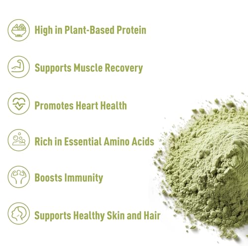 Nutritious pumpkin seed protein powder