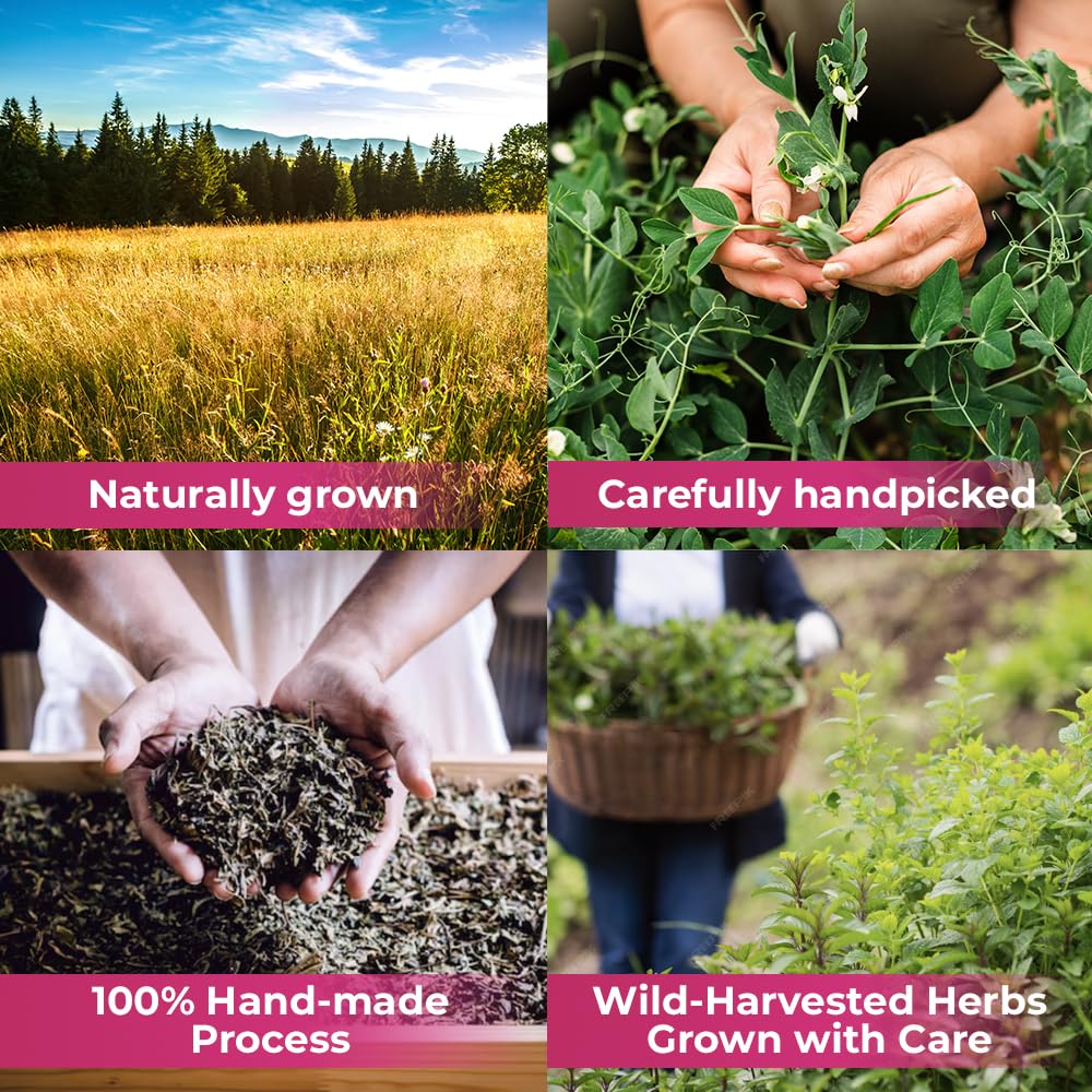 nutritious red clover herbal remedy