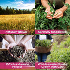 nutritious red clover herbal remedy