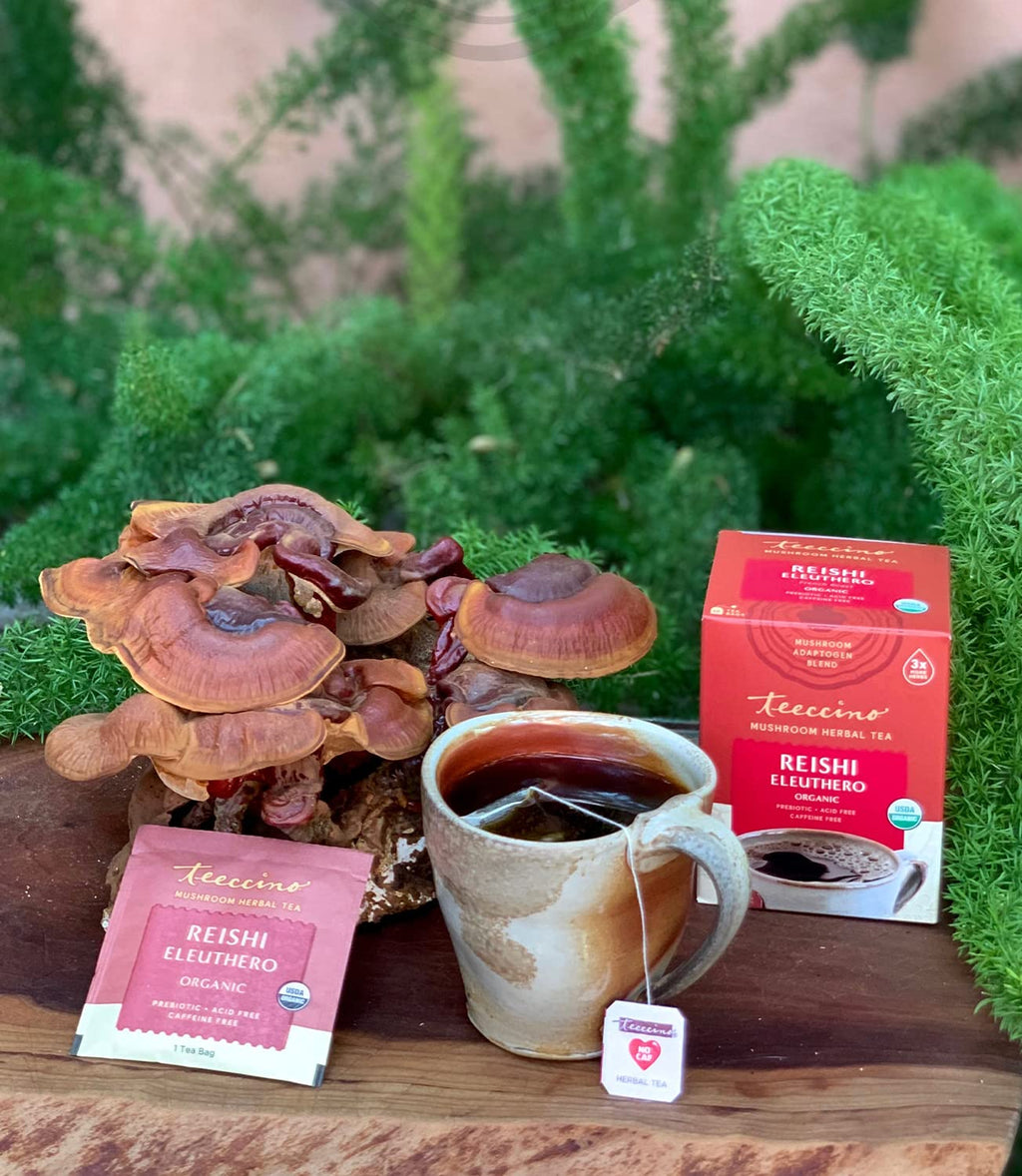 Nutritious Reishi tea for wellness
