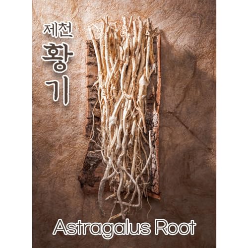 nutritious root for herbal enthusiasts