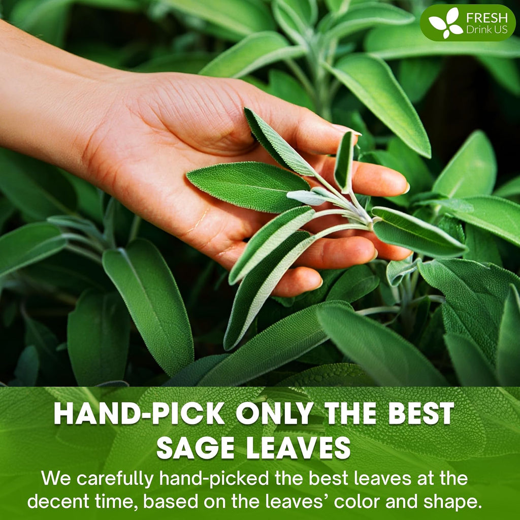 nutritious sage leaf powder for health