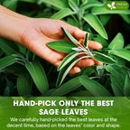 nutritious sage leaf powder for health