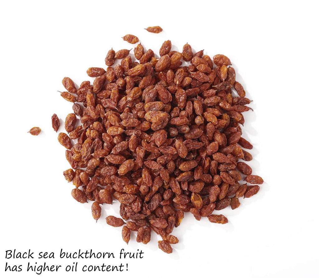 nutritious sea buckthorn berries for wellness