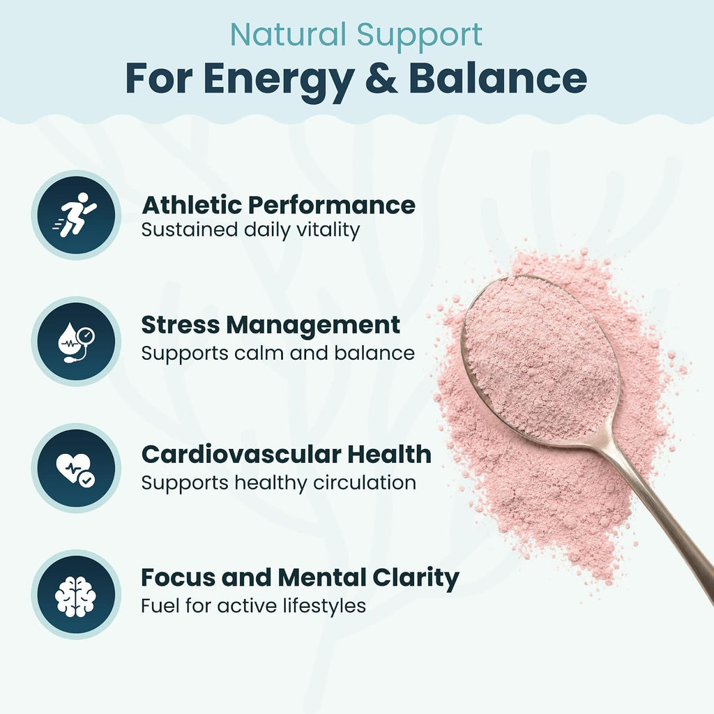 nutritious sea moss for smoothies