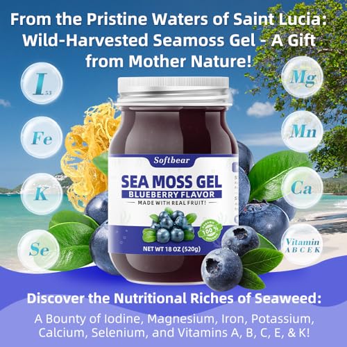 nutritious sea moss for smoothies