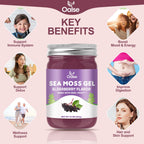 nutritious sea moss gel benefits