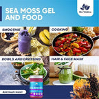 nutritious sea moss gel for smoothies
