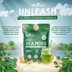 nutritious sea moss gel ingredient
