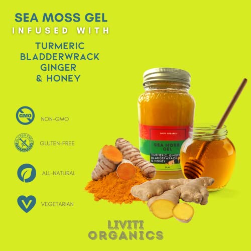 nutritious sea moss gel recipe