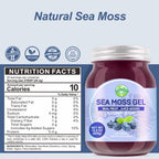 nutritious sea moss gel with blueberries