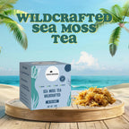 nutritious sea moss herbal infusion