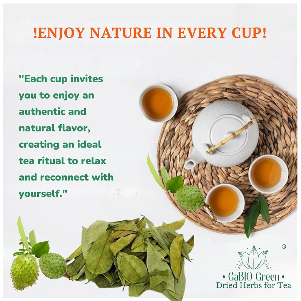 nutritious soursop leaves for brewing
