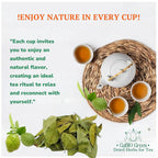 nutritious soursop leaves for brewing
