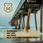 nutritious spirulina for active lifestyles