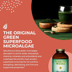 nutritious spirulina for smoothies