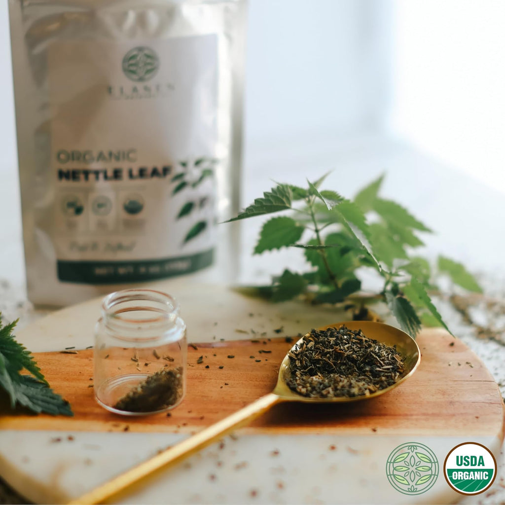 nutritious stinging nettle herbal tea