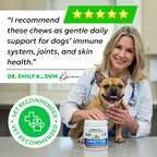 nutritious supplements for canine health