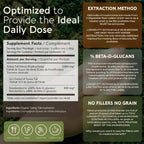 nutritious turkey tail mushroom powder