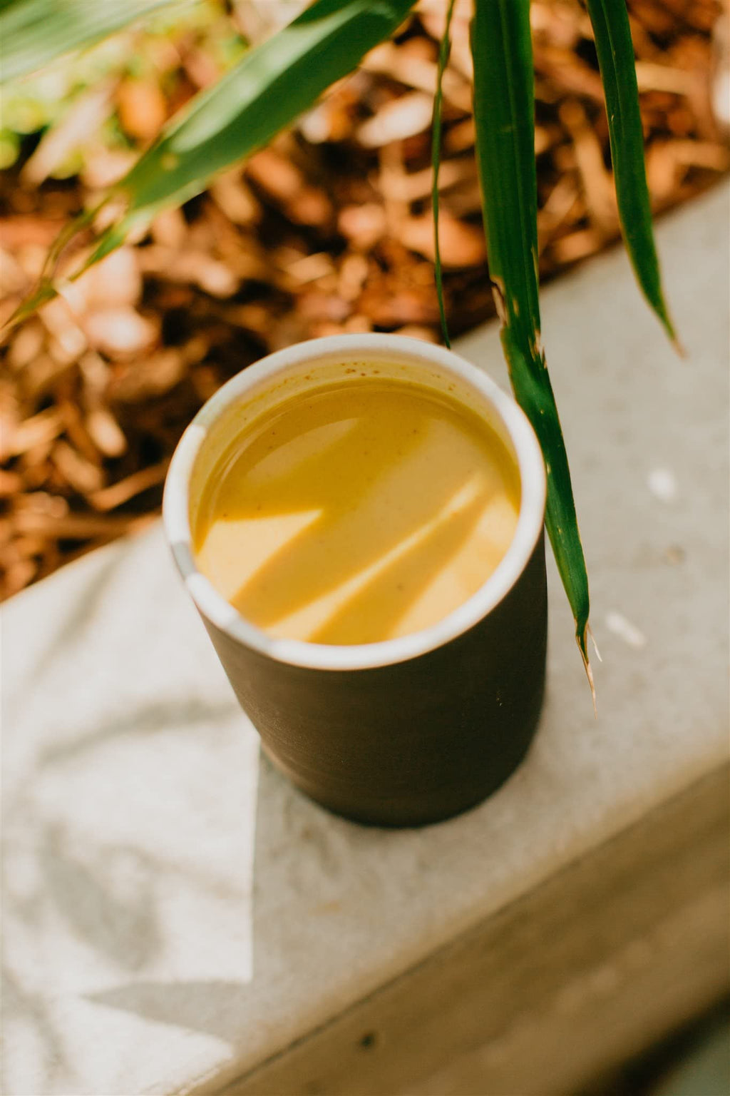 nutritious turmeric milk alternative