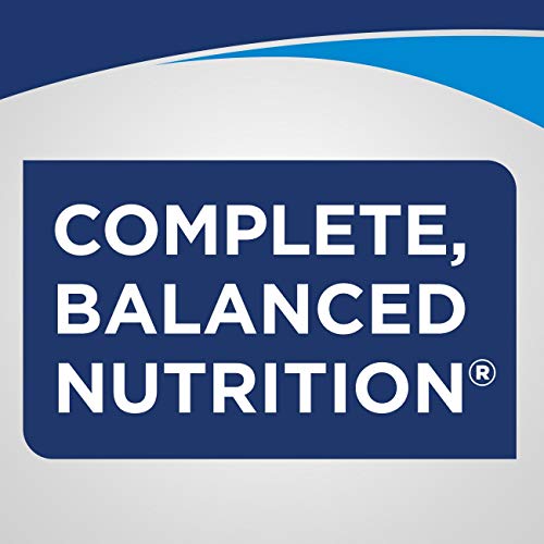 nutritious vanilla protein shake option