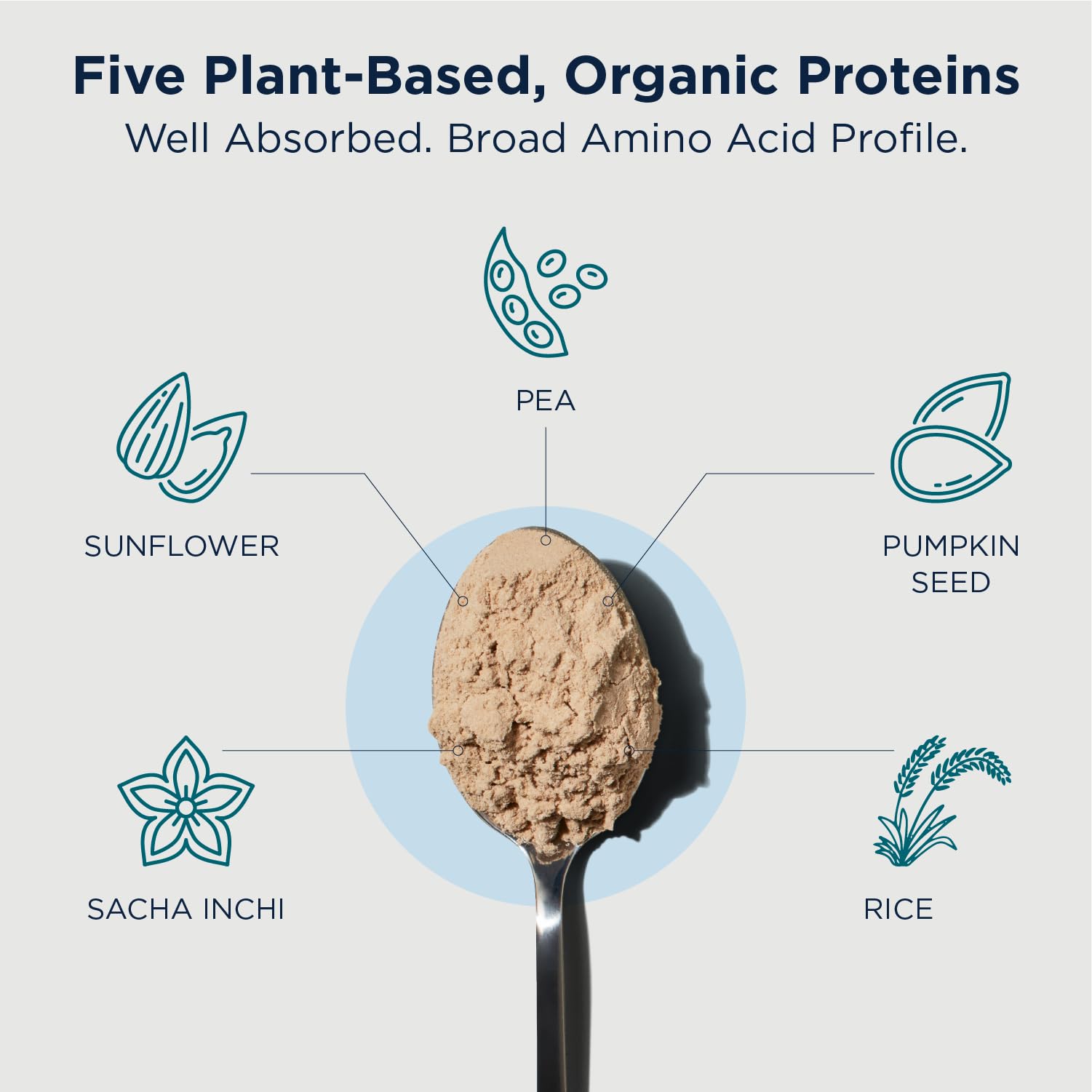Nutritious vegan protein for athletes