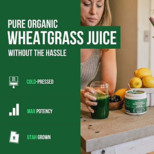 nutritious wheatgrass juice powder supplement