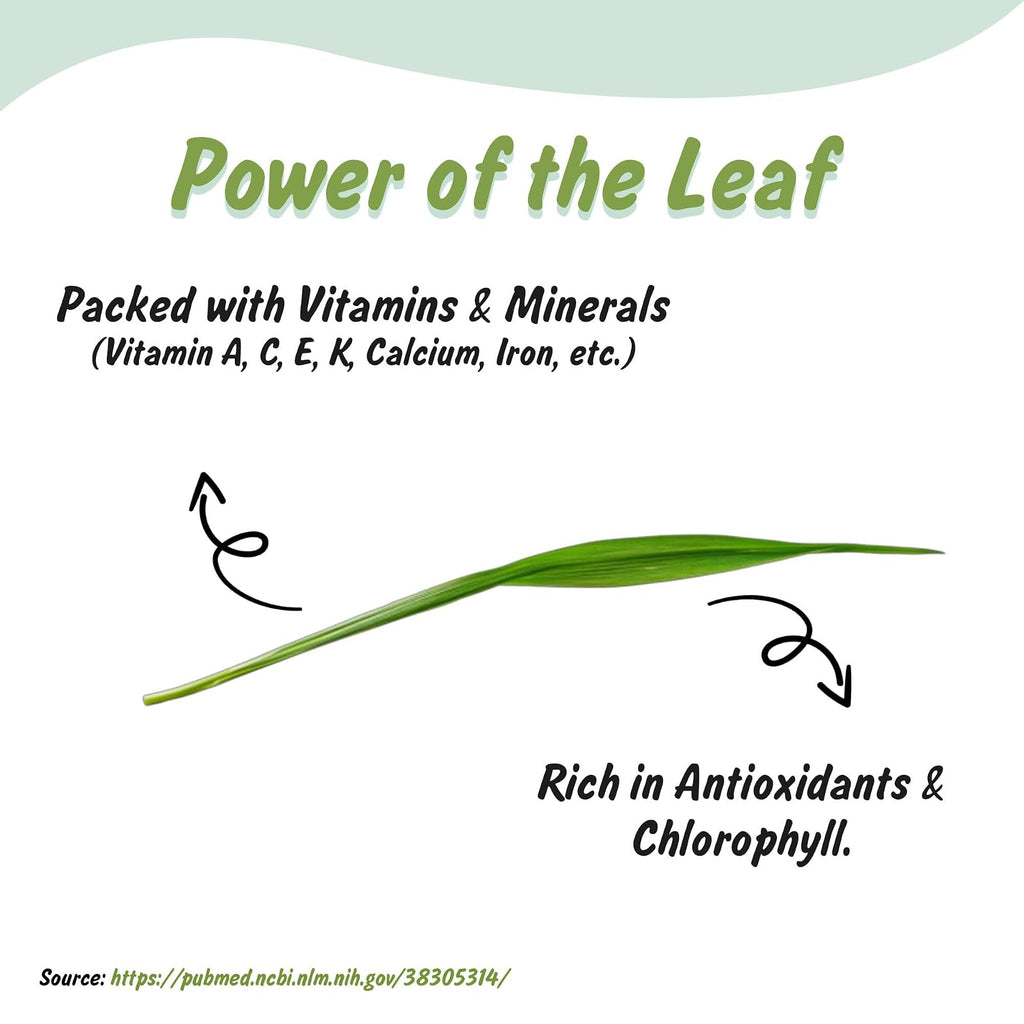 nutritious wheatgrass powder for detox
