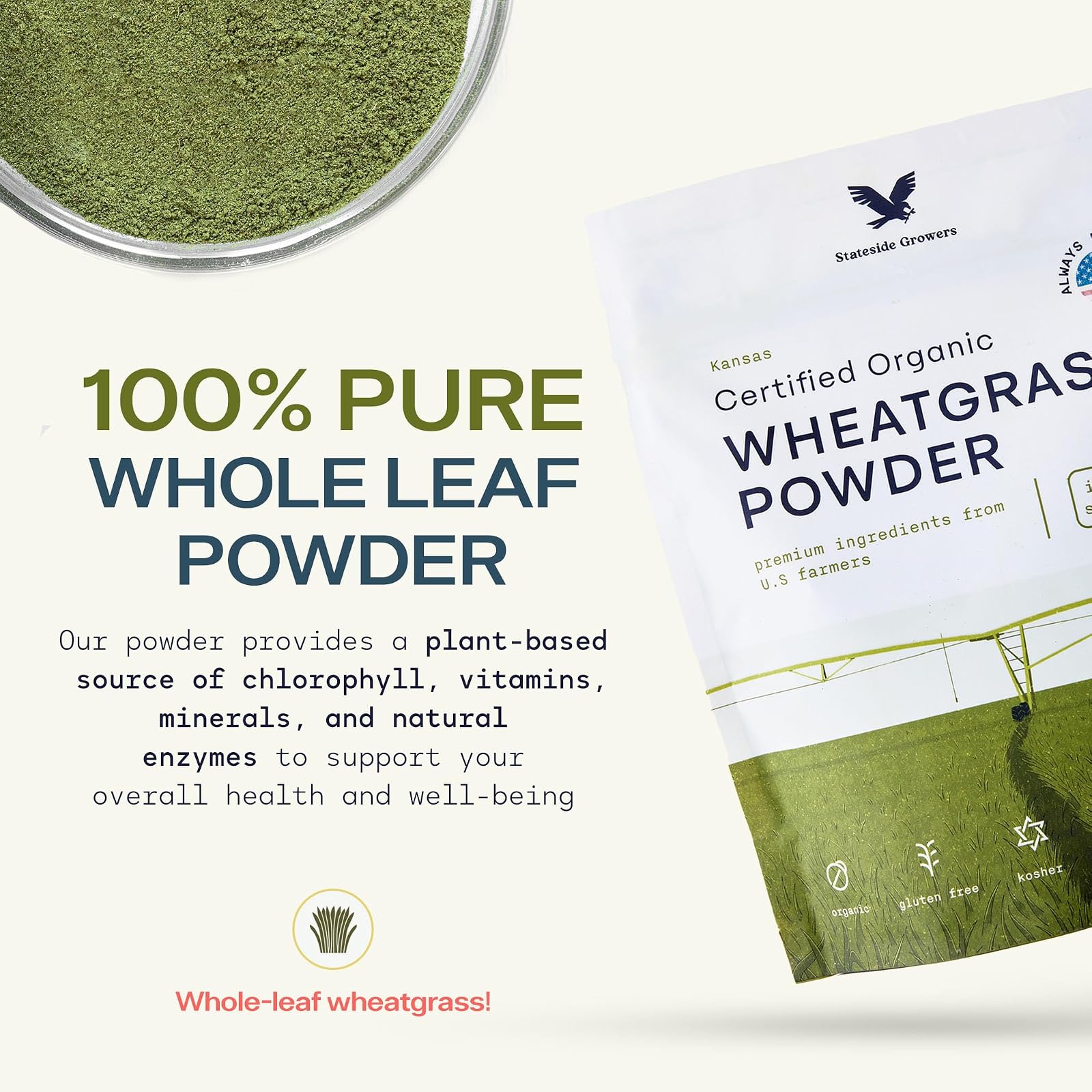 nutritious wheatgrass superfood supplement