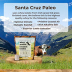 nutritious whey protein for athletes