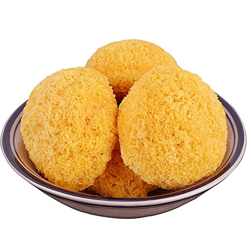 nutritious white fungus for cooking