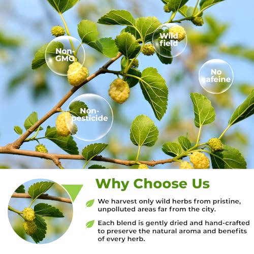 nutritious white mulberry leaf tea