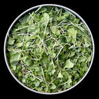 nutritious whole food microgreens supplement