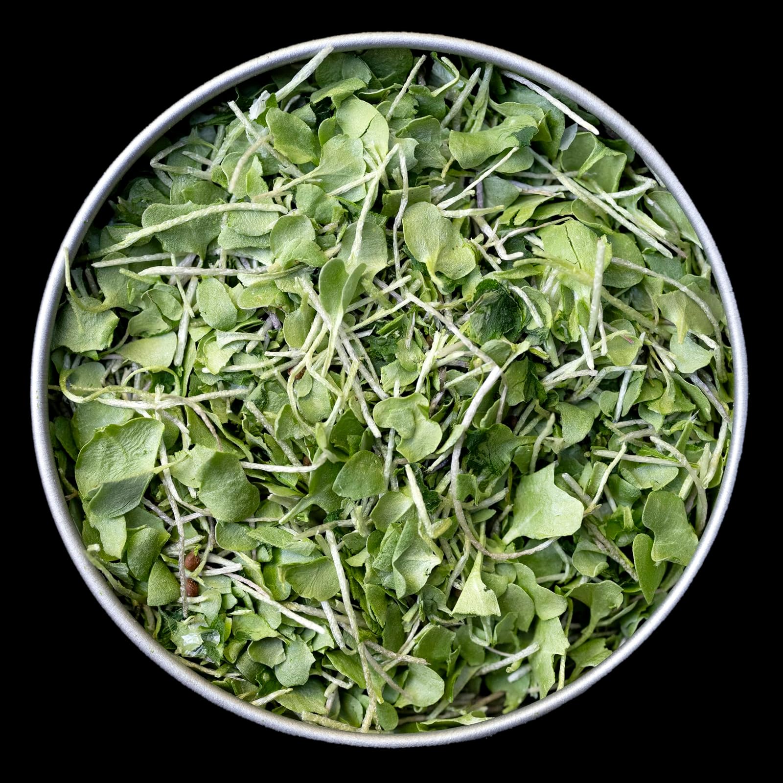 nutritious whole food microgreens supplement