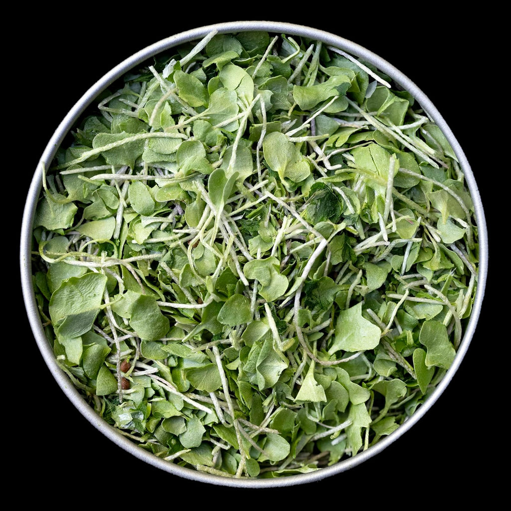 nutritious whole food microgreens