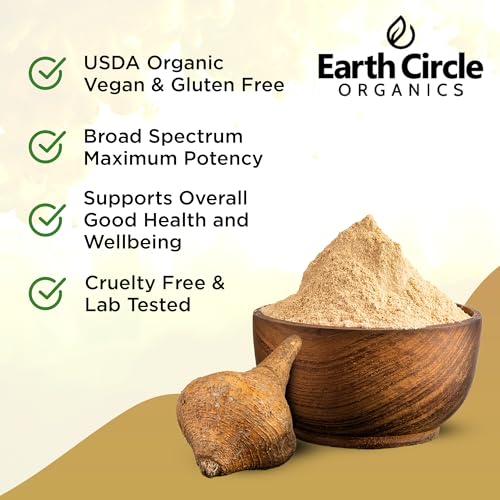 nutritious Yellow Maca Root Powder for energy